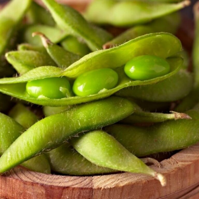 Is Soy Milk Good For You? Benefits, Hormones & Thyroid Explained ...